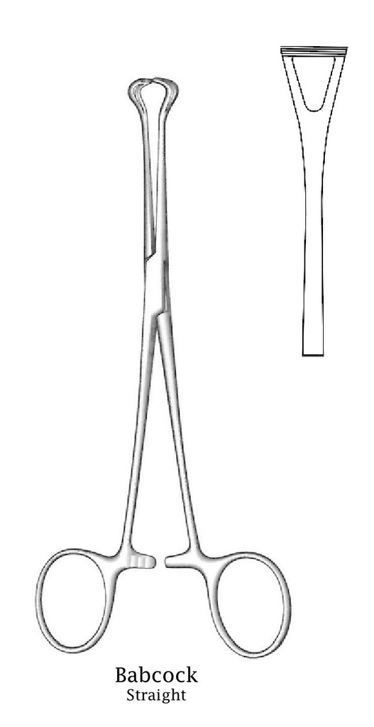 Pinza de tejido Babcock - longitud = 20 cm / 8", recta | Surgicalmed.es
