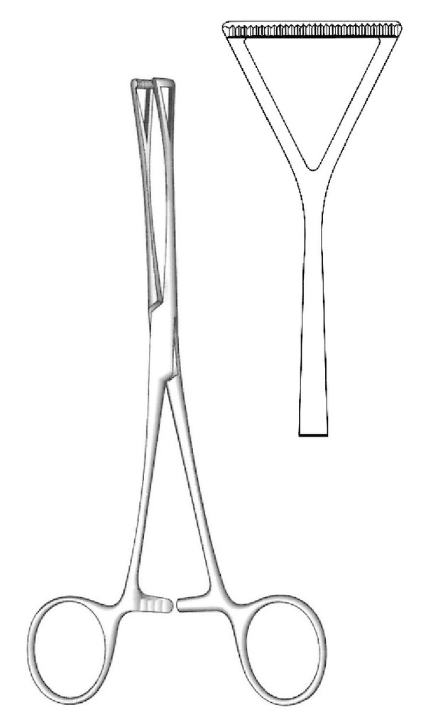 Pinza para tejido Duval, dientes de 25 mm - longitud = 20 cm / 8 ...