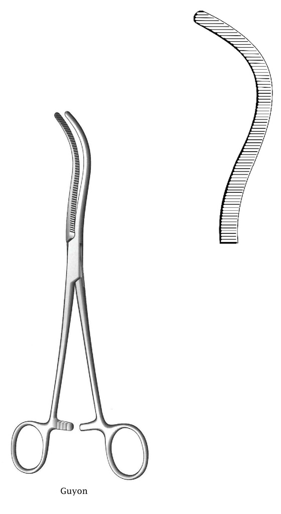 Pinza para pedículo renal Guyon - longitud = 24 cm / 9-1/2 ...