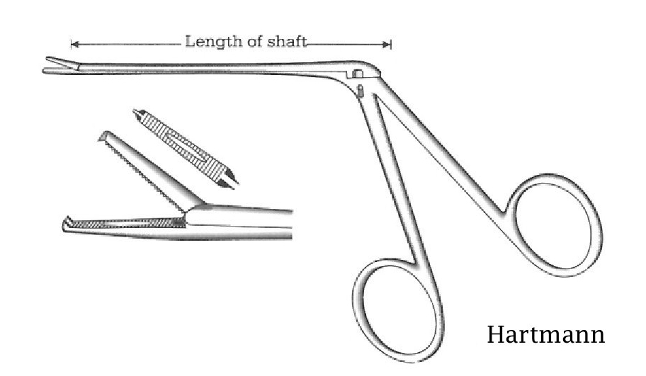 Pinza para pólipos oído de Hartmann-Noyes, dientes = 1:2 | Surgicalmed.es