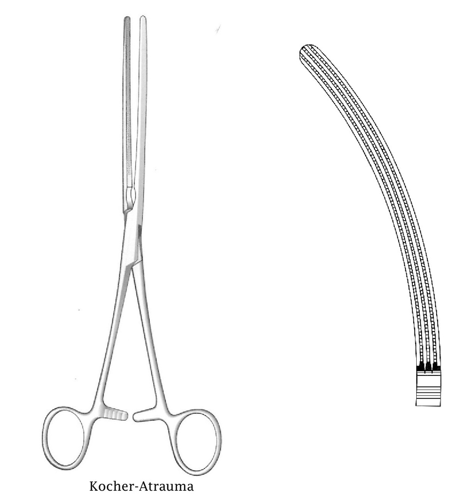 Pinza intestinal atraumática Kocher, curva - longitud = 25 cm / 10 ...