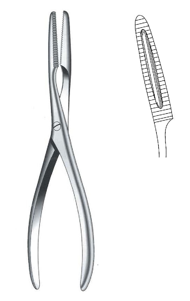 Pinza de sujeción para huesos secuestrantes, curva | Surgicalmed.es
