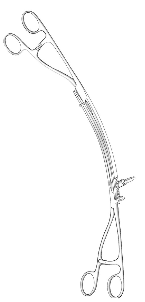 Pinza intestinal Lane, figura 1 | Surgicalmed.es