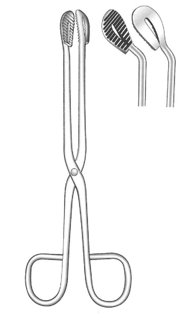 Pinza para esterilización universal premium, recta - longitud = 20 cm ...