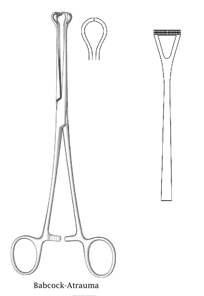 Pinza de tejido Babcock-Atrauma premium - longitud = 20 cm / 8 ...